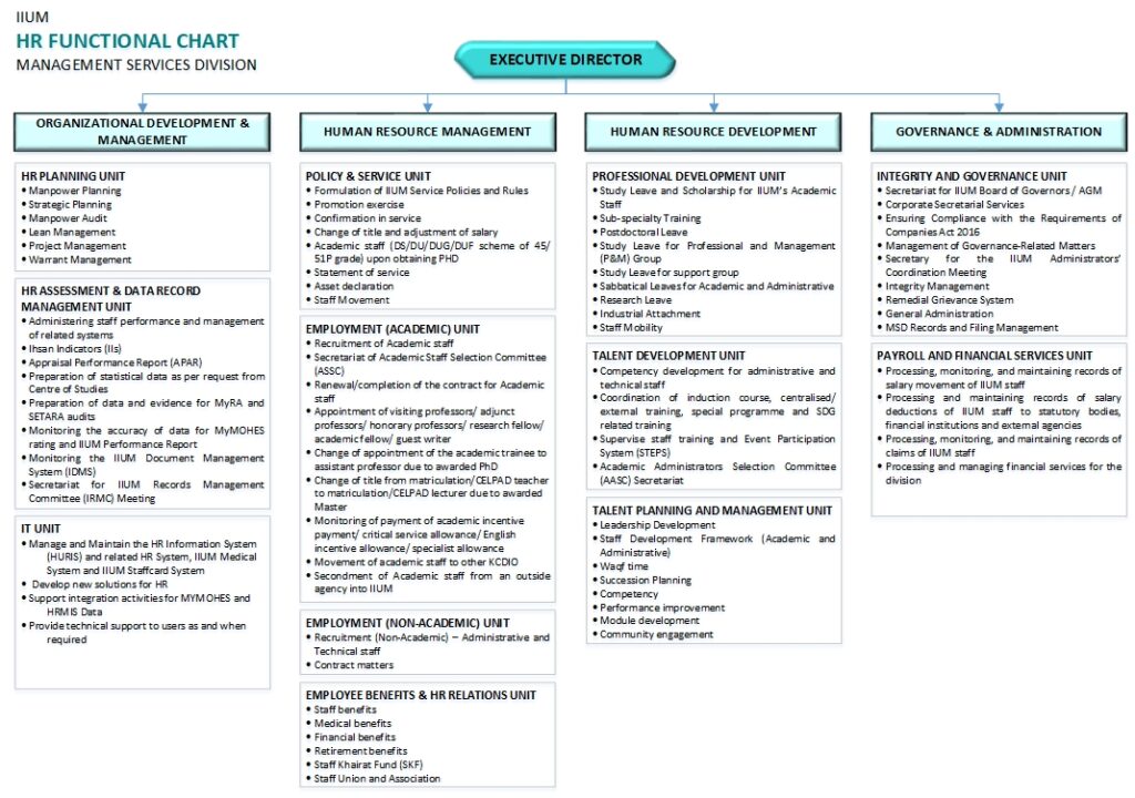 Functional Chart – MANAGEMENT SERVICES DIVISION