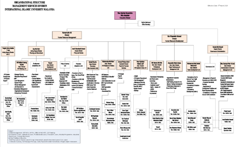 Organizational Chart – MANAGEMENT SERVICES DIVISION